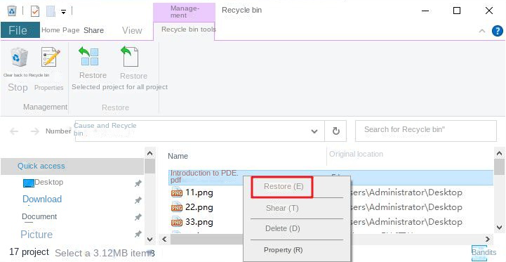 Expert Tips for How to Recover Deleted PDF Files - Rene.E Laboratory