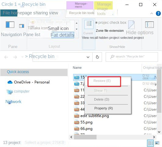 Quick Guide to Deleted Photo Recovery: Never Lose Memories Again - Rene ...