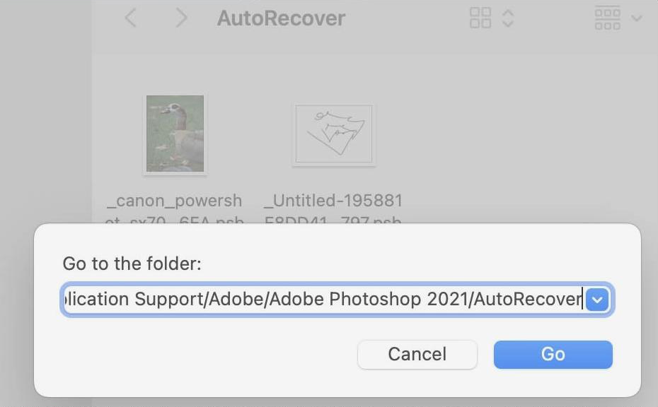 Find Your Autosave Files in Photoshop Quickly and Easily - Rene.E ...