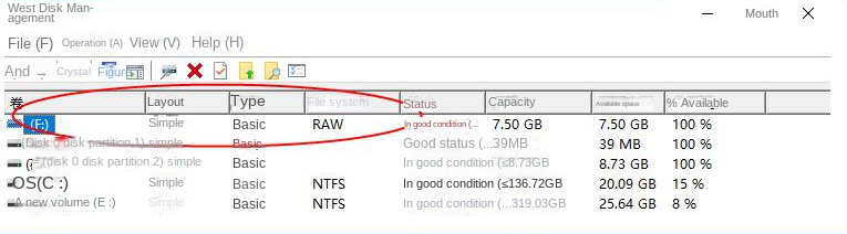 Expert Solutions for Data Recovery from RAW Hard Drive - Rene.E Laboratory
